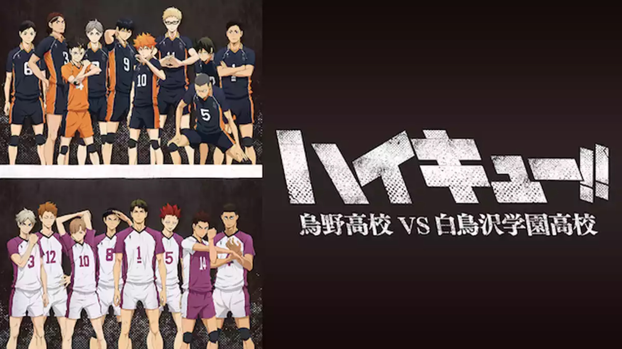 【ハイキュー】見る順番を解説！アニメ,映画,OVAのあらすじ見どころ＆総集編は見るべき？ | WALLOP VOD