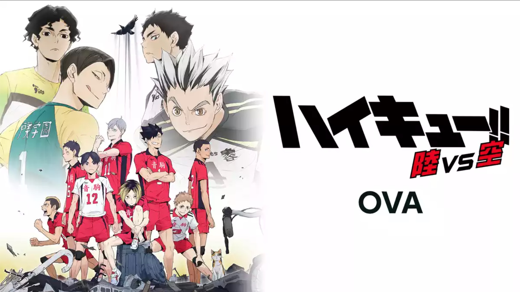 【ハイキュー】見る順番を解説！アニメ,映画,OVAのあらすじ見どころ＆総集編は見るべき？ | WALLOP VOD