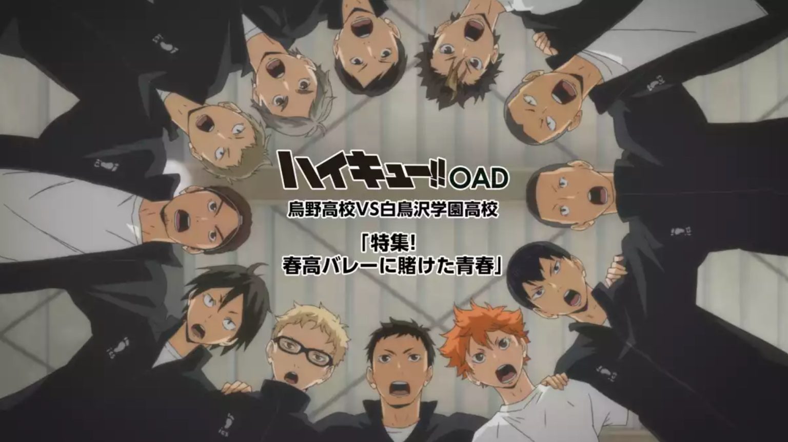 【ハイキュー】見る順番を解説！アニメ,映画,OVAのあらすじ見どころ＆総集編は見るべき？ | WALLOP VOD